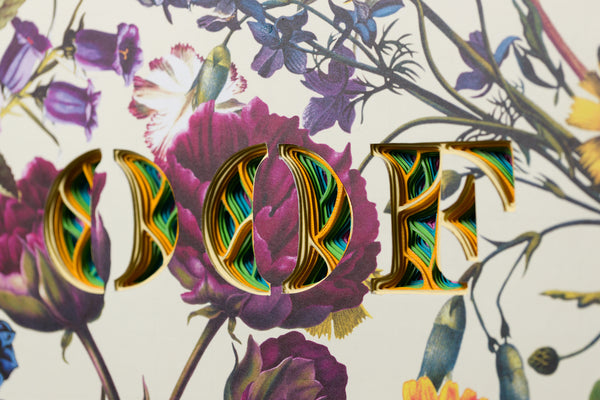 OOF – Paradigm Gallery + Studio