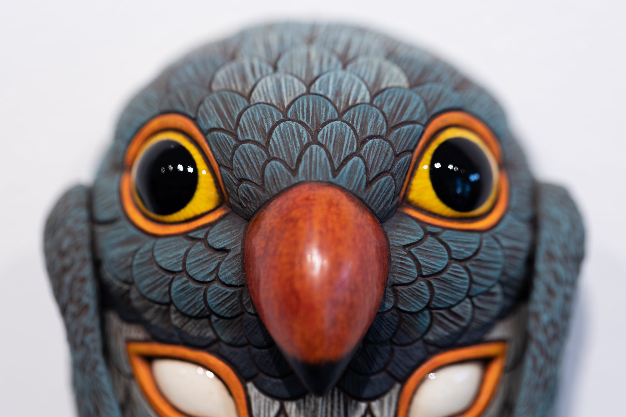 Blend in Mask: Indian Ringneck – Paradigm Gallery + Studio