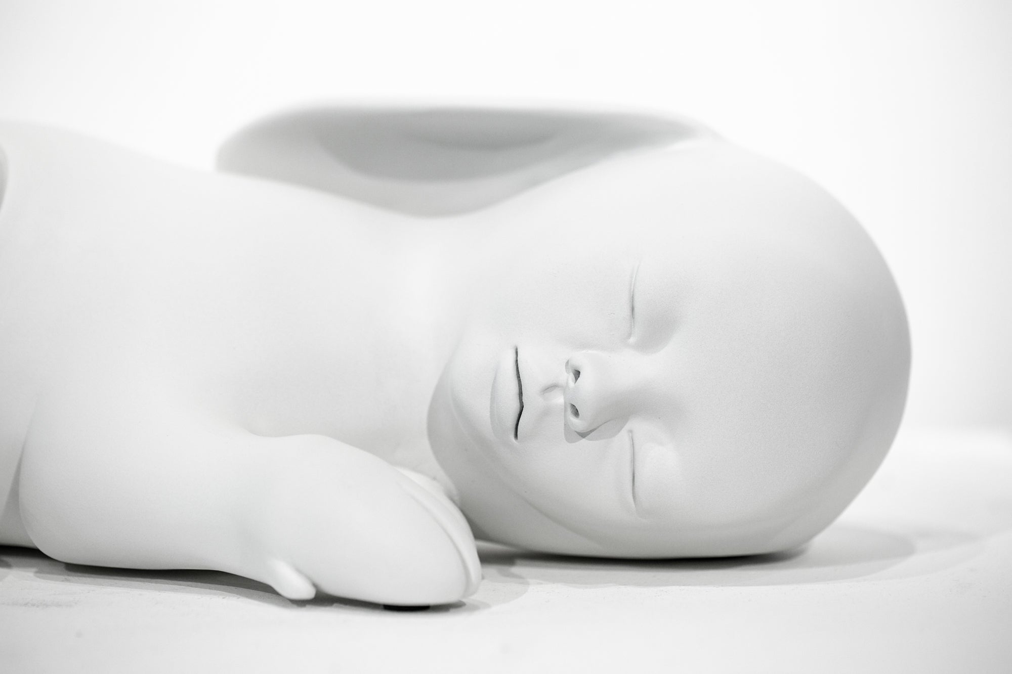 Nebrida – Paradigm Gallery + Studio