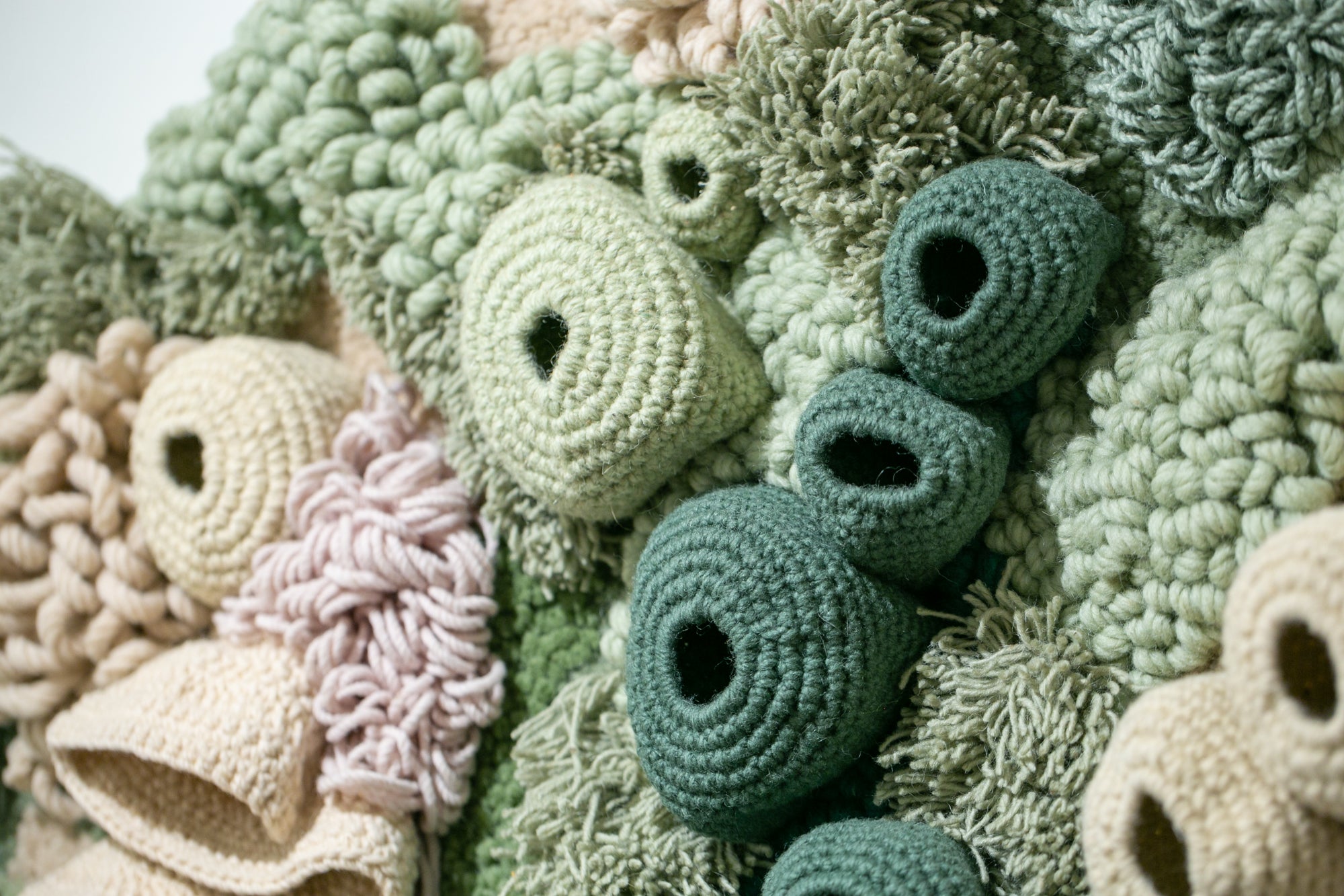 Coralium – Paradigm Gallery + Studio