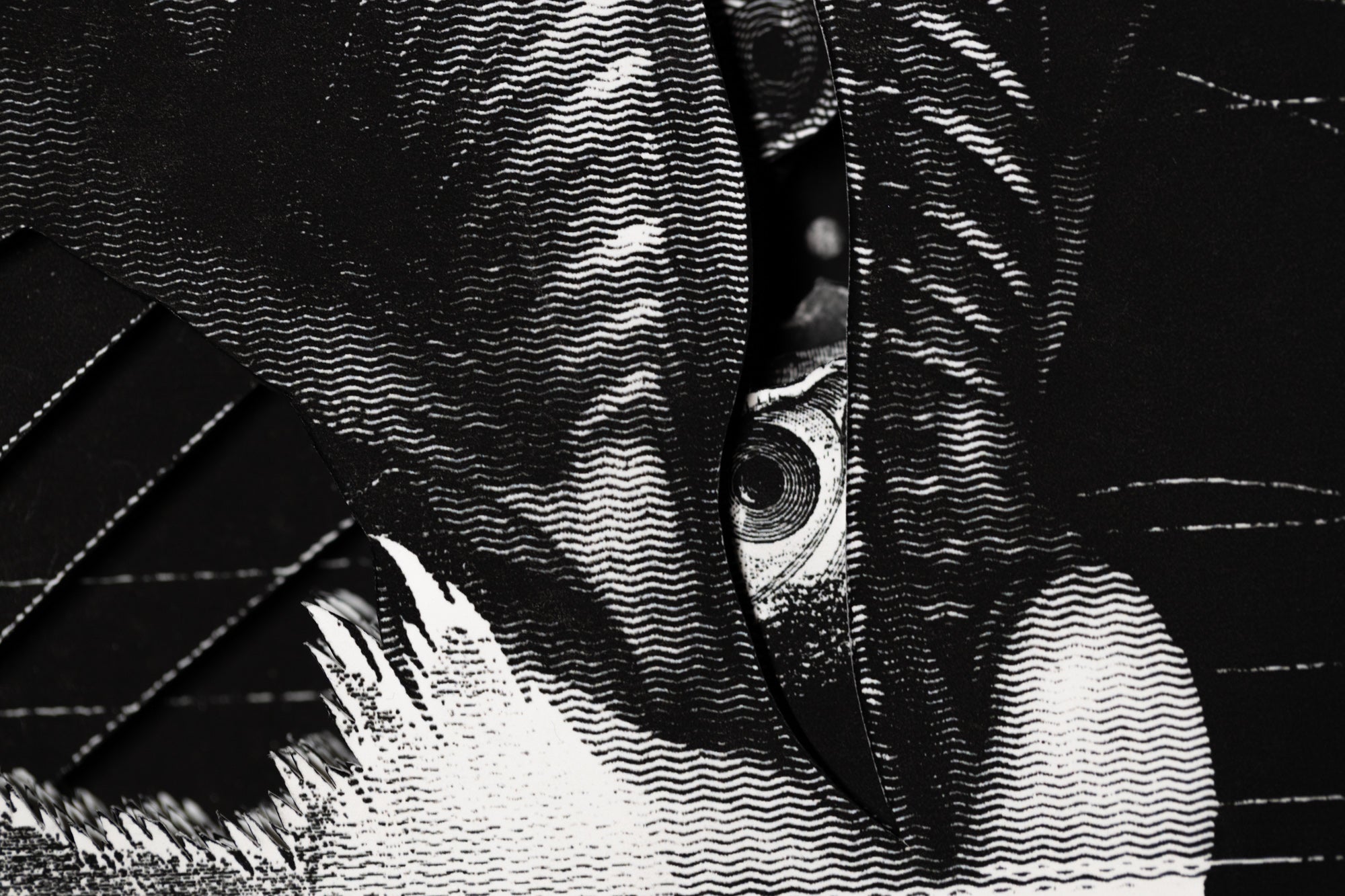 Self Sabotage Generator – Paradigm Gallery + Studio