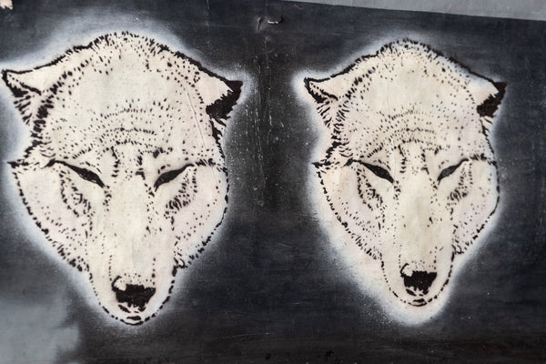 Wolves Banner – Paradigm Gallery + Studio